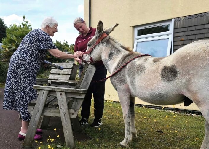 Camelot Care Dementia Nursing Homes, Somerset